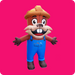 Custom Inflatable Costumes - Mascots & Characters | LookOurWay